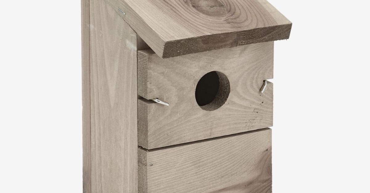 Everyday Nest Box